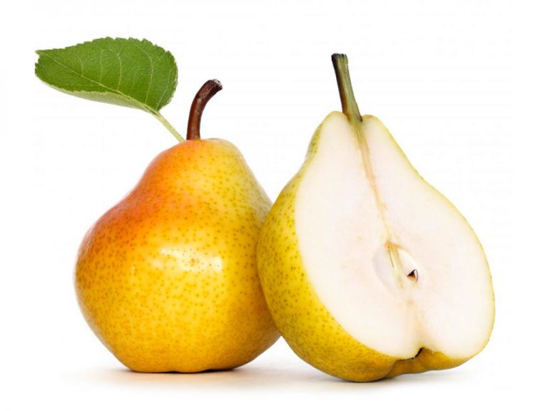 Packham pear: description of the variety, where it grows, calorie ...