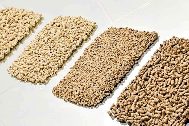 Aliments pour bétail : composition, recettes, comment le préparer soi-même