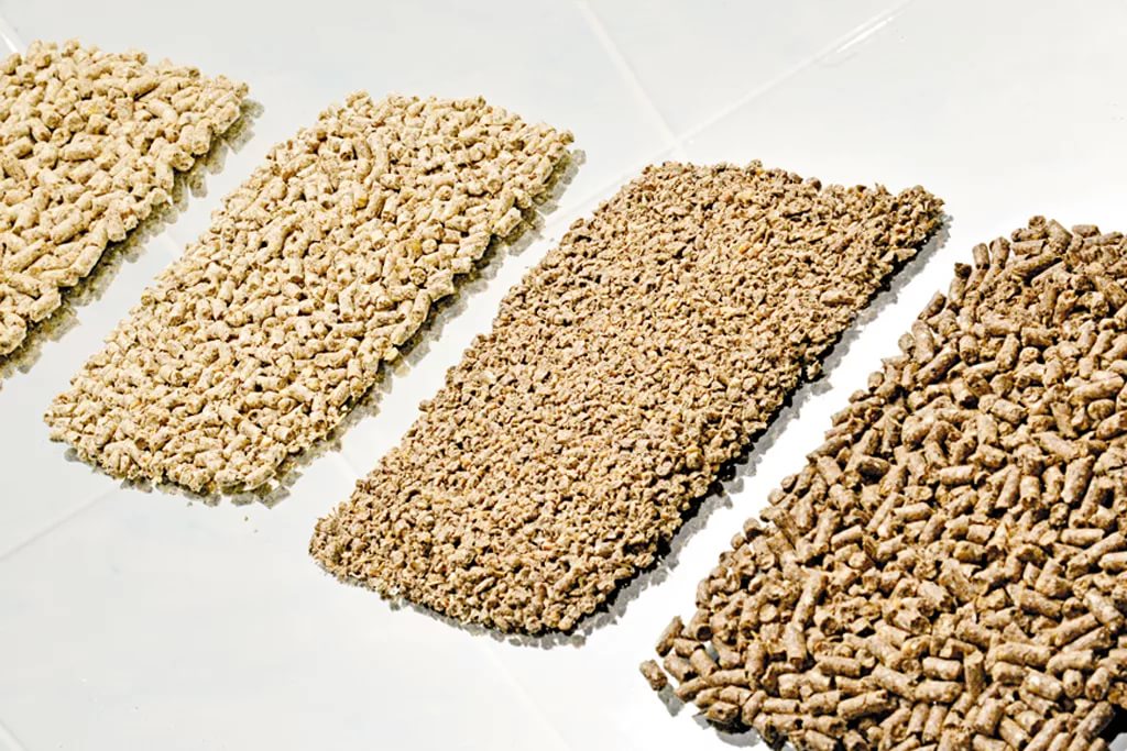 Aliments pour bétail : composition, recettes, comment le préparer soi-même