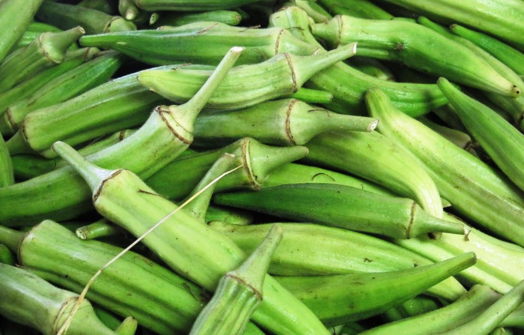 Quiabo (quiabo): que tipo de vegetal é, benefícios e malefícios para a ...