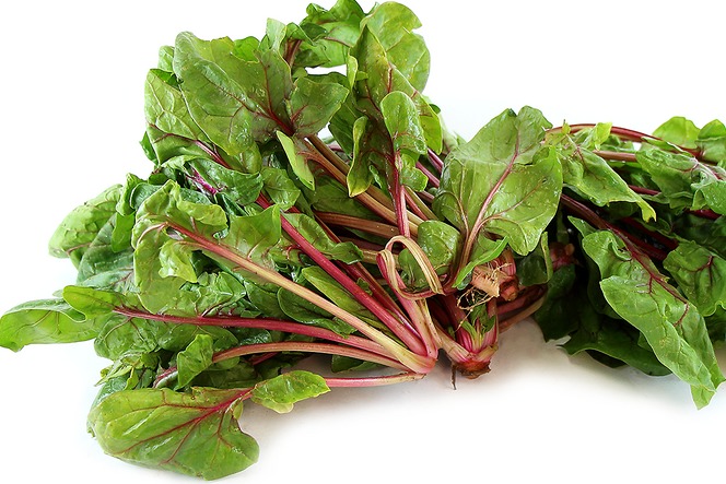 Épinards : culture et entretien en pleine terre et sous serre, dates de ...