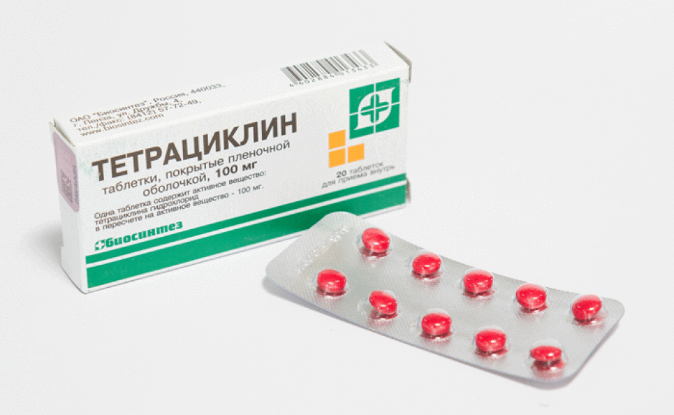 Diarrhée du veau : que faire, comment traiter à la maison, prévention