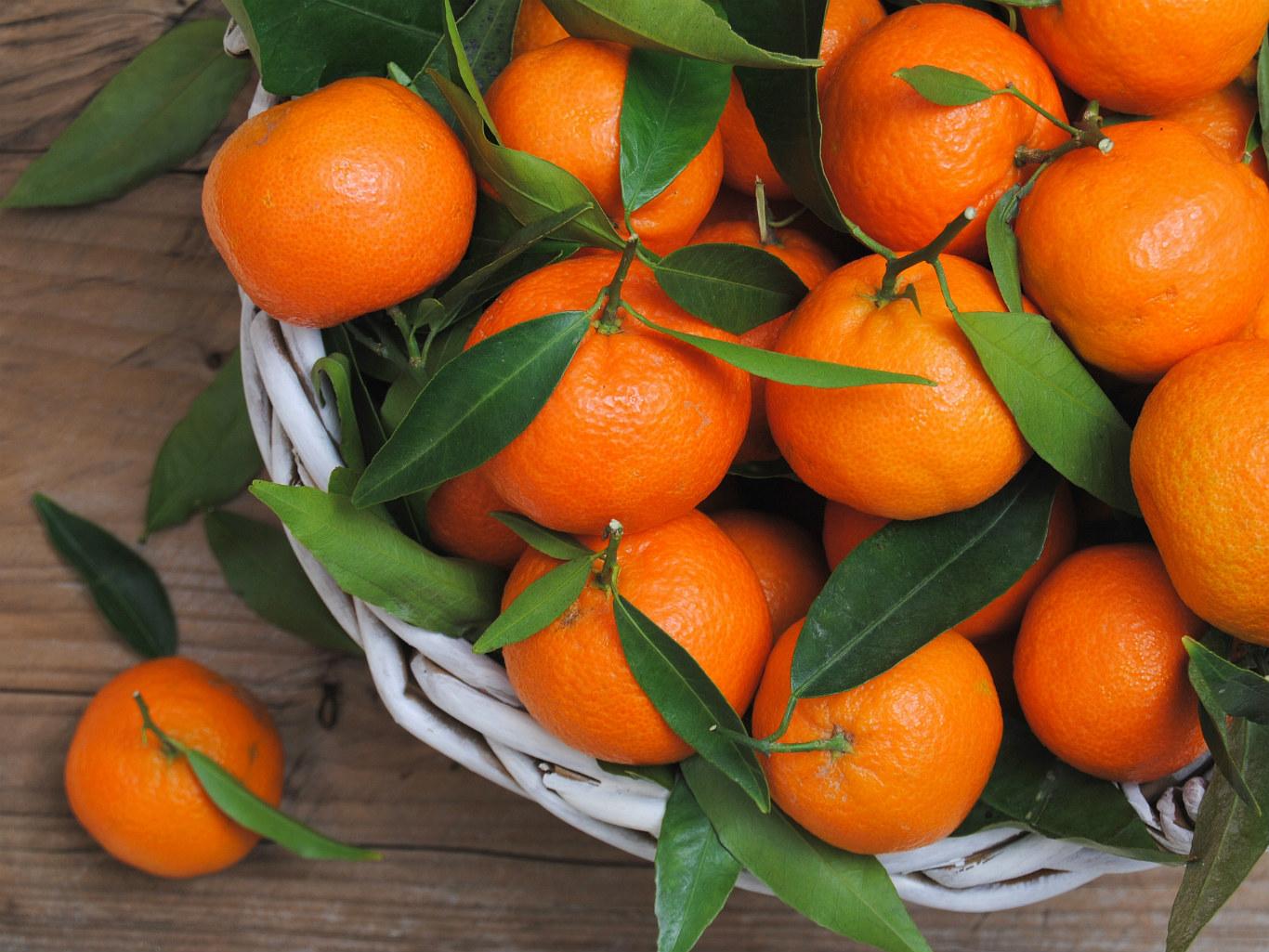 How many types of tangerines are there: description, varieties with photos