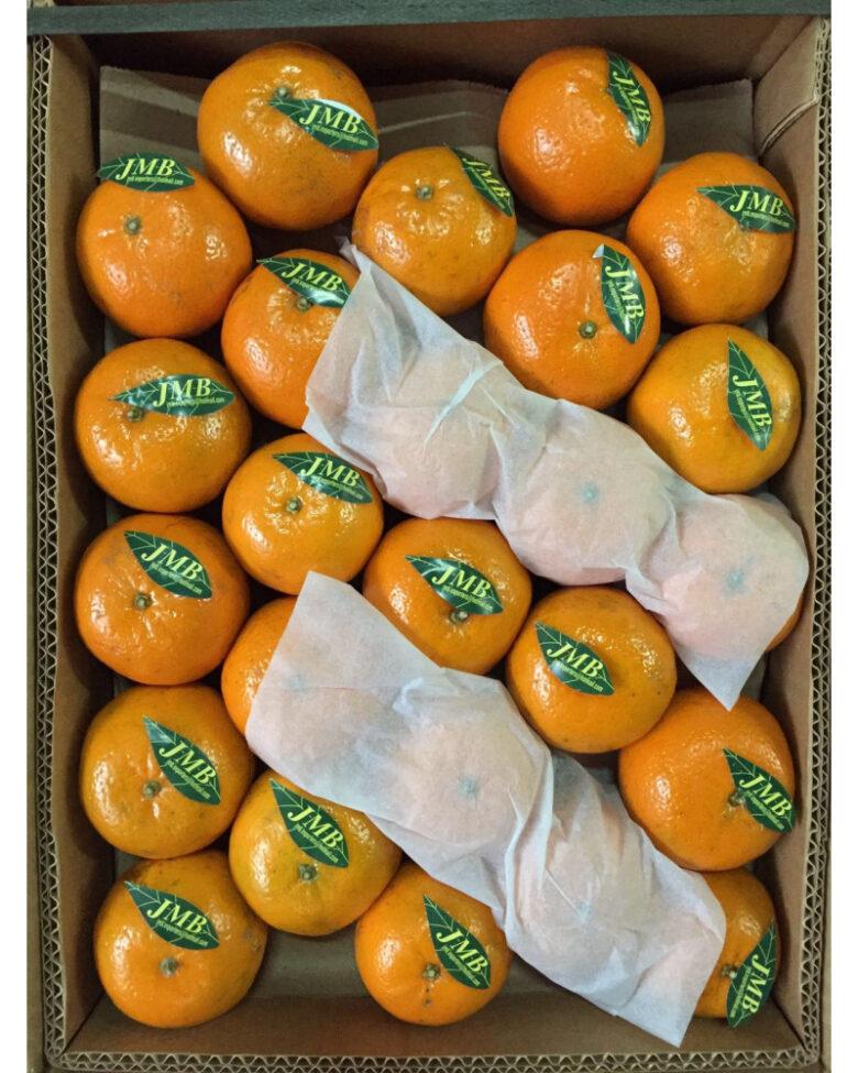 How many types of tangerines are there: description, varieties with photos