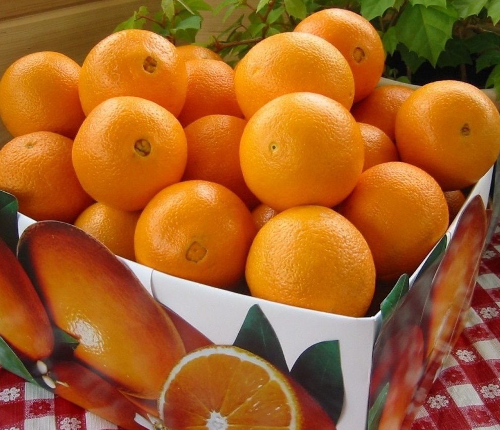 Orangenarten: Fotos mit Namen und Beschreibungen