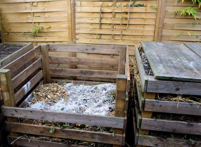 Ash when planting potatoes: why it is added, benefits and harm